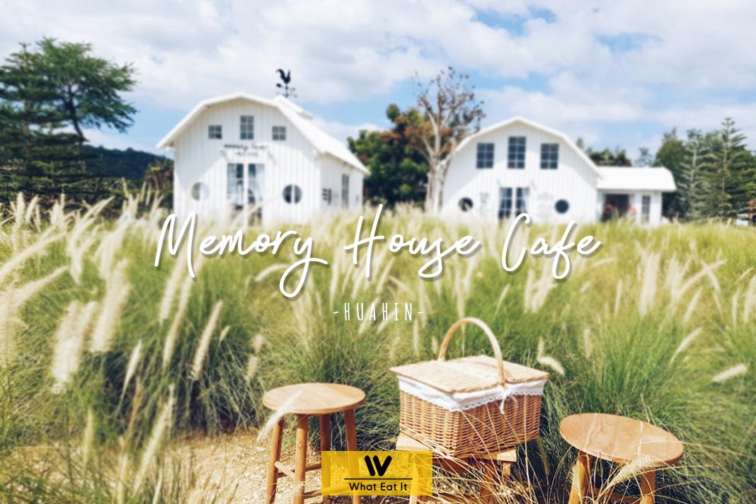 รีวิว Memory House Cafe Hua Hia คาเฟ่ท่ามกลางทุ่งดอกหญ้าสวยๆ